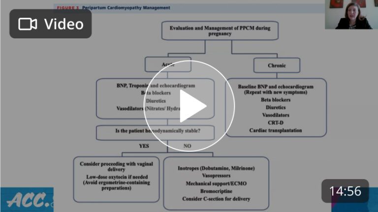Join ACC Anywhere: The “Netflix of Cardiology”